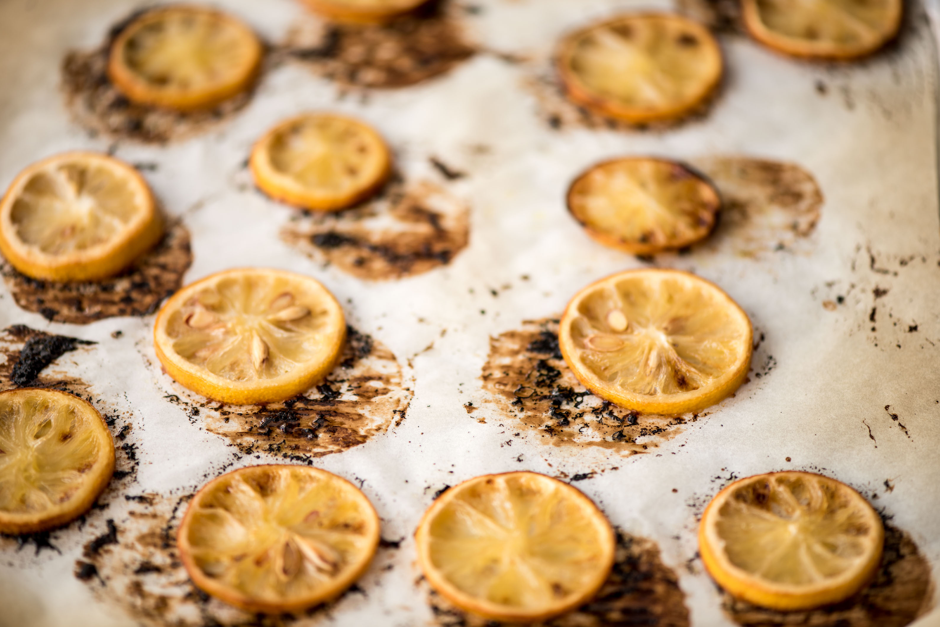 Thanksgiving Stuffing: Get Stuffed | The Fresh Times