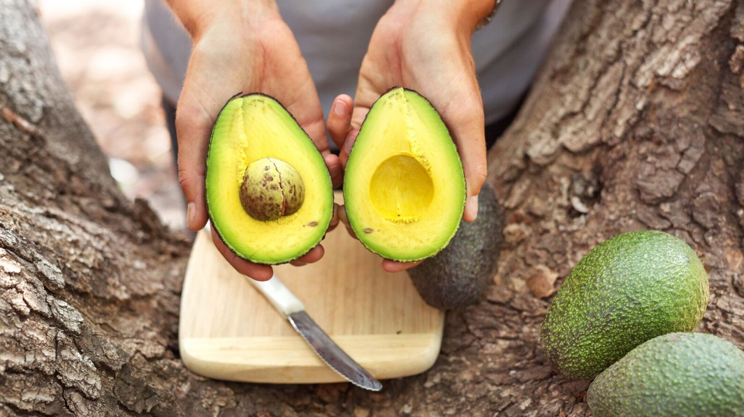 How To Cut An Avocado Perfectly Every Time | The Fresh Times