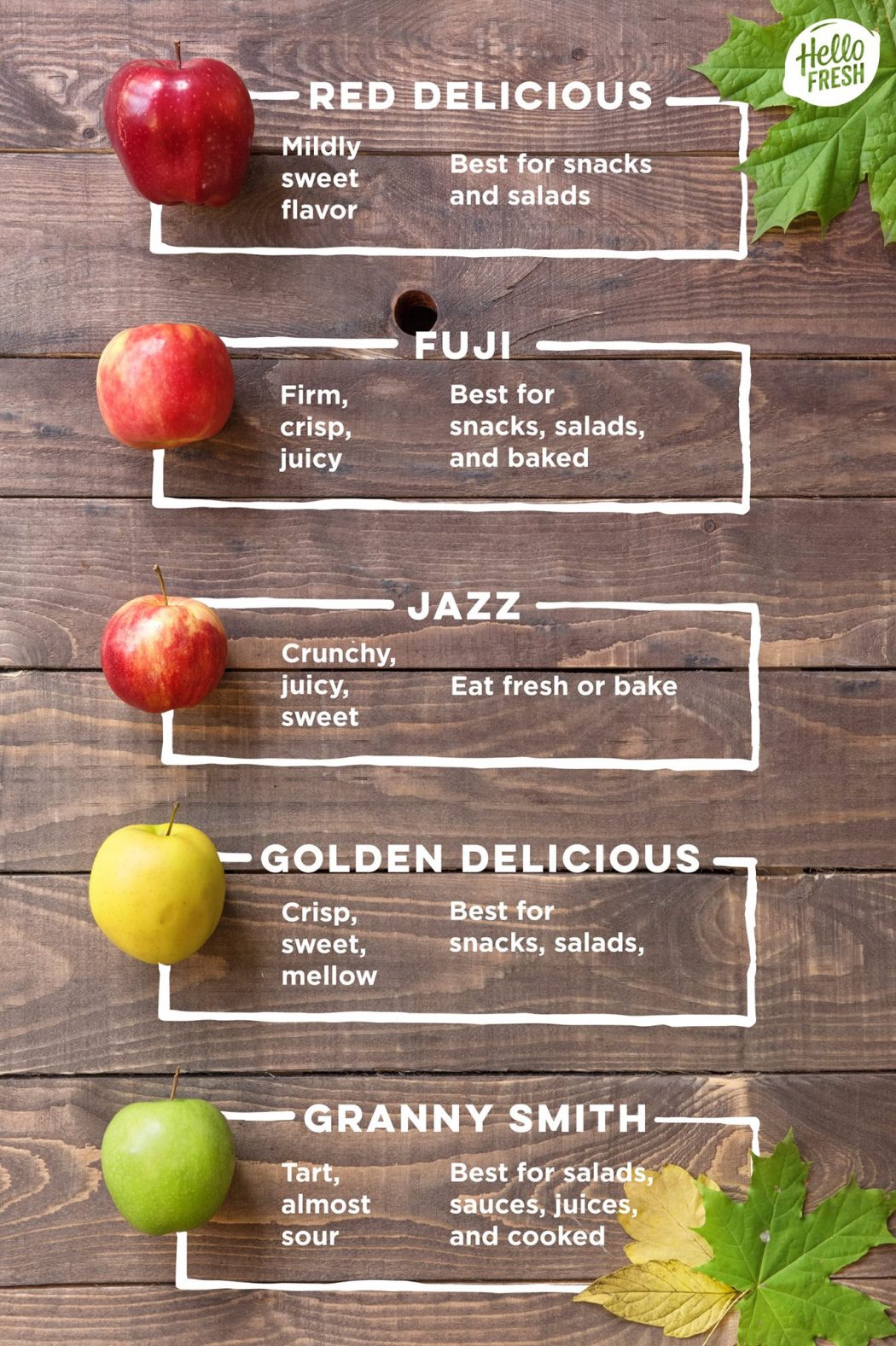 The Best Apples for Baking, Snacking, & Cooking | The Fresh Times