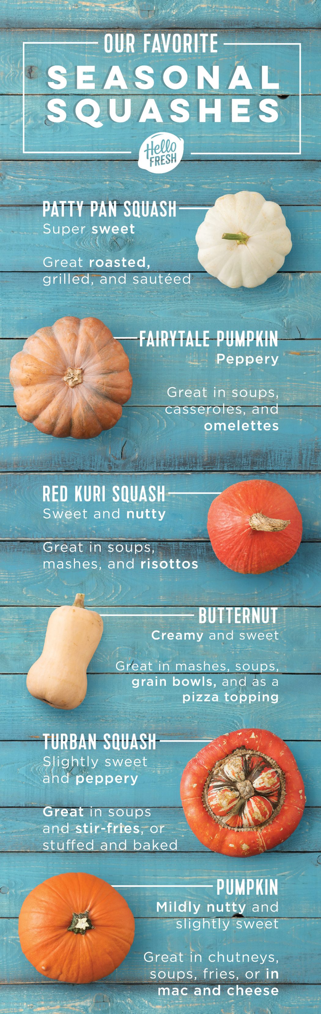 How to Cook Squash | The Fresh Times