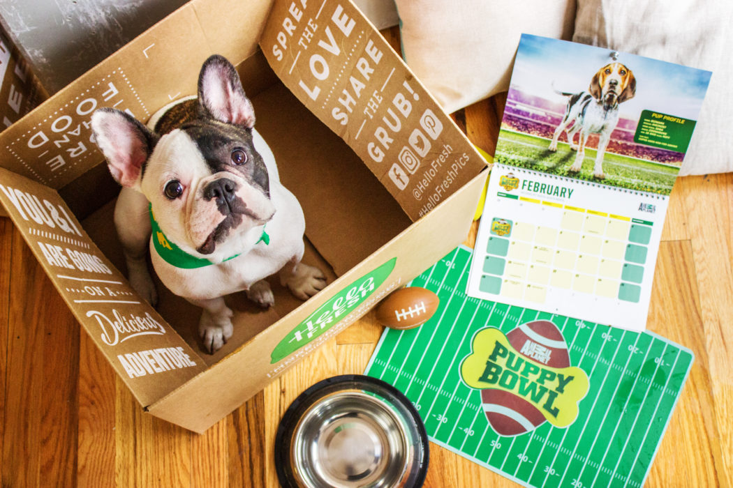 HelloFresh + Puppy Bowl = The PERFECT Sunday at Home | The Fresh Times
