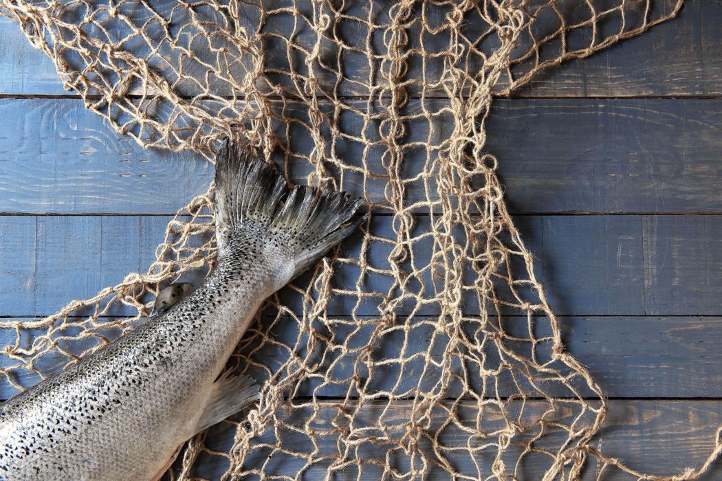 Out-of-The-Box Ideas For Recycling Your HelloFresh Packaging | The ...