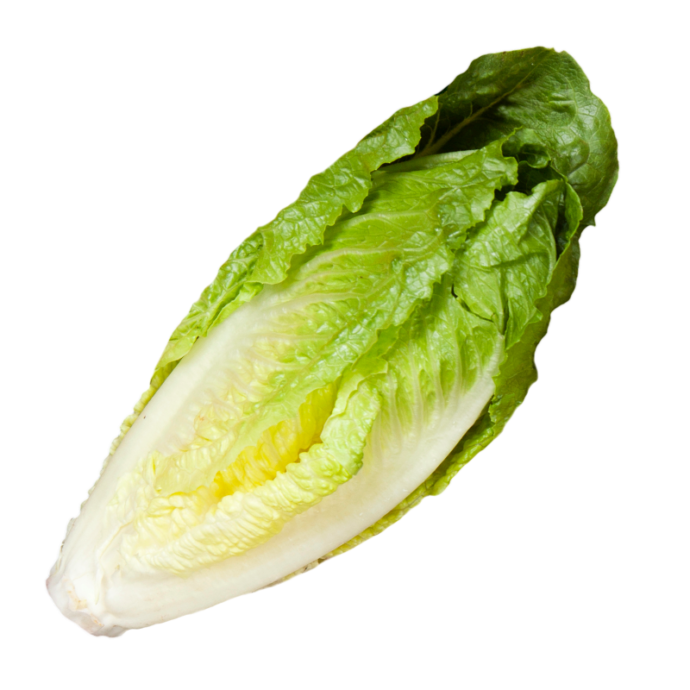 Say Hello to Spring with Leafy Greens | The Fresh Times