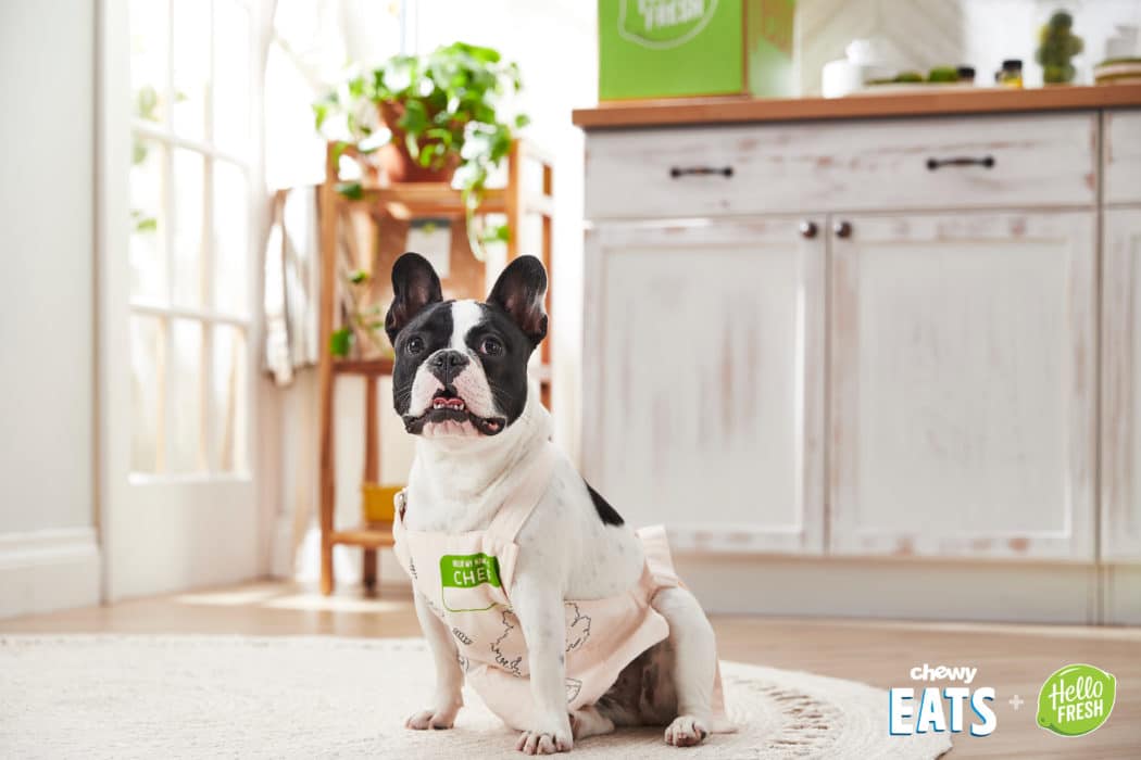 How to Make Chewy DIY Dog Treats From a HelloFresh Recipe | The Fresh Times